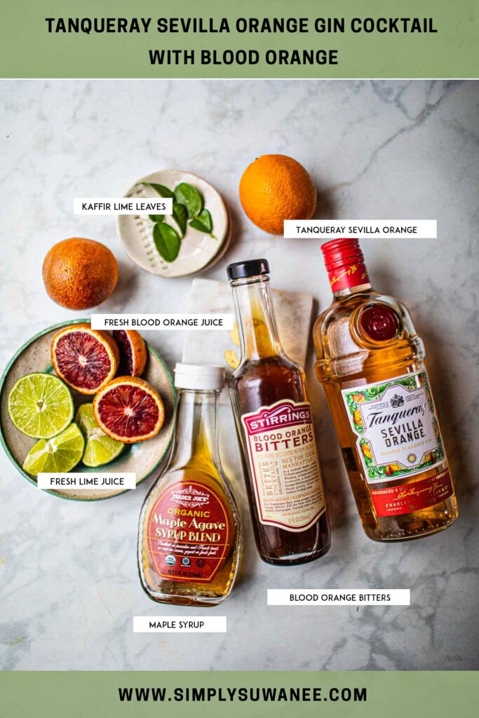 Tanqueray Seville Orange Gin Cocktail with Blood Orange - Simply Suwanee