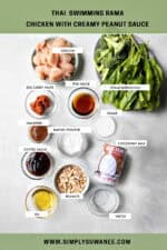 Thai Swimming Rama (Chicken with Peanut Sauce and Spinach) - Simply Suwanee