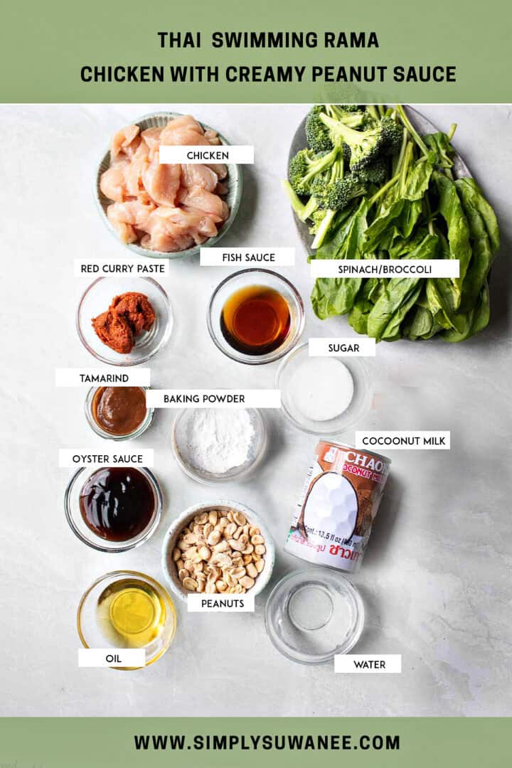 Thai Swimming Rama (Chicken with Peanut Sauce and Spinach) - Simply Suwanee