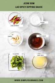 Jeow Som (Lao Dipping Sauce) - Simply Suwanee