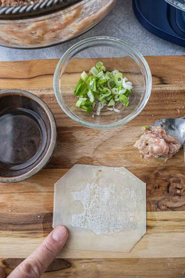 Kanom Jeeb Thai Dumplings - Simply Suwanee