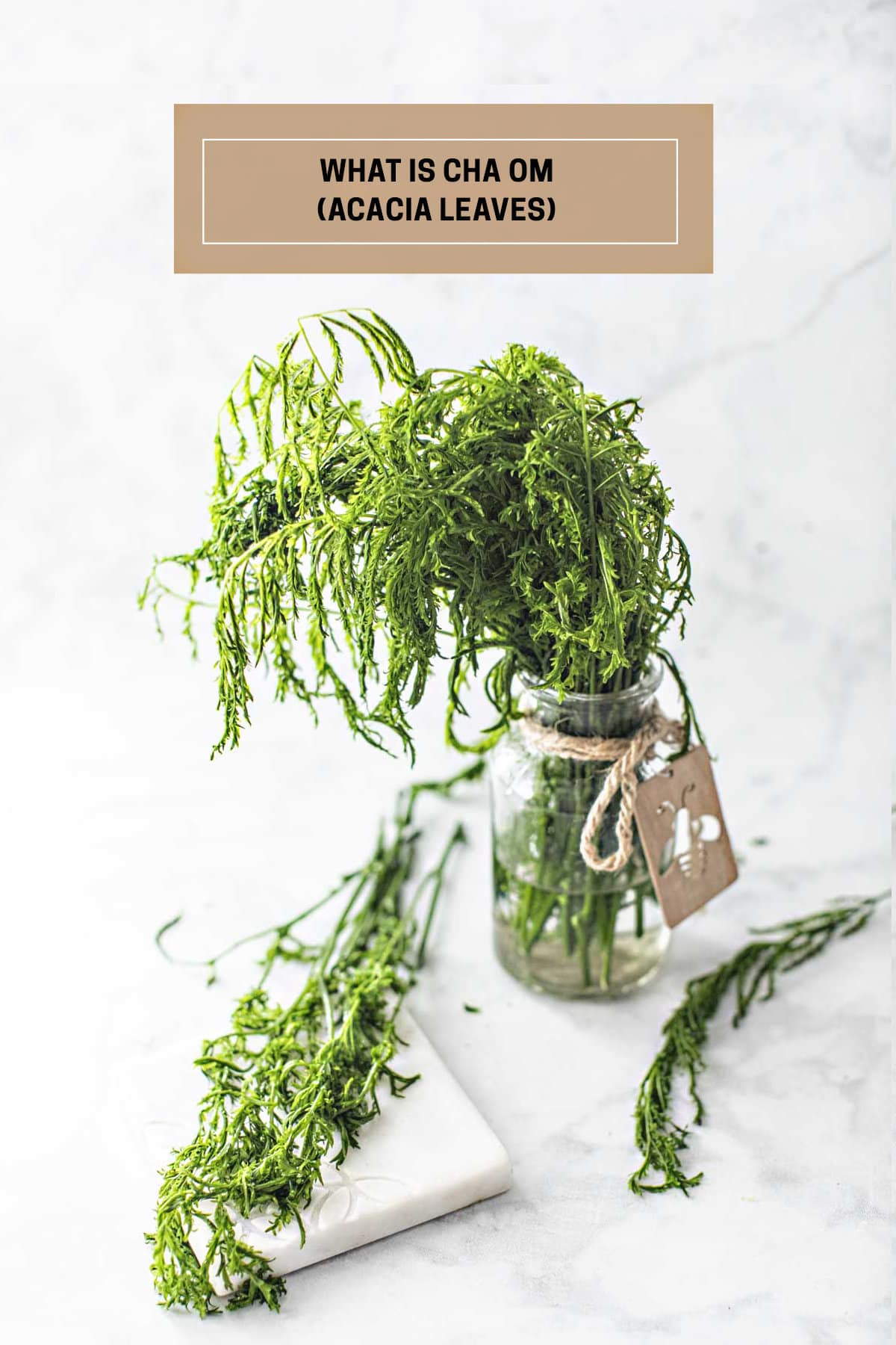 What is Cha Om (Acacia Leaves) - Simply Suwanee