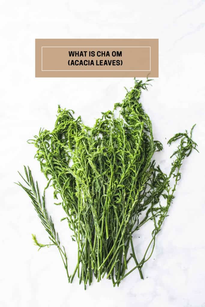 What is Cha Om (Acacia Leaves) - Simply Suwanee