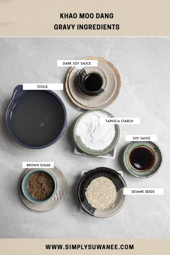 Kao Moo Dang (Chinese BBQ Red Pork) - Simply Suwanee