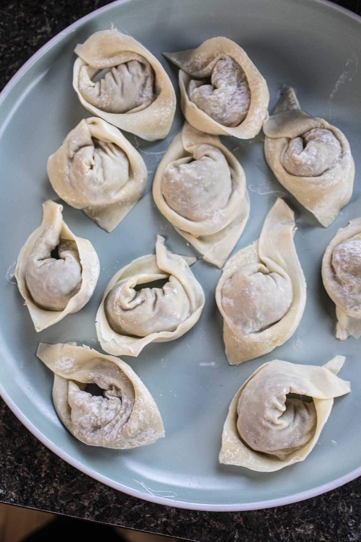 Crispy Fried Beef Wontons Recipe - Simply Suwanee