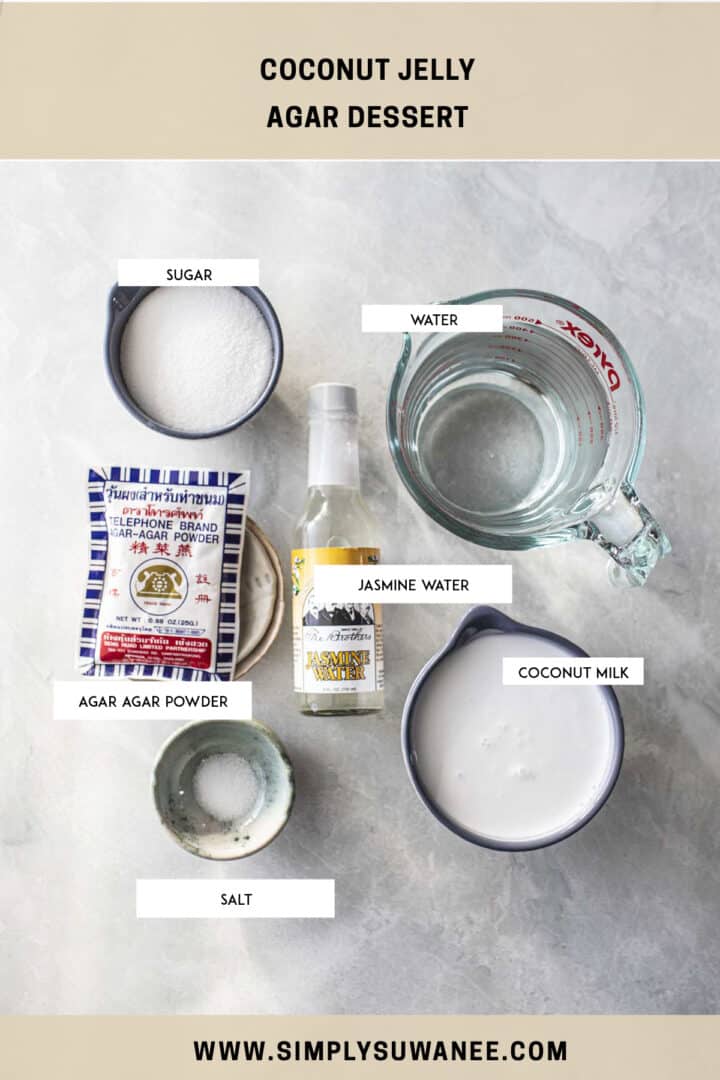 The Best Coconut Jelly - Simply Suwanee