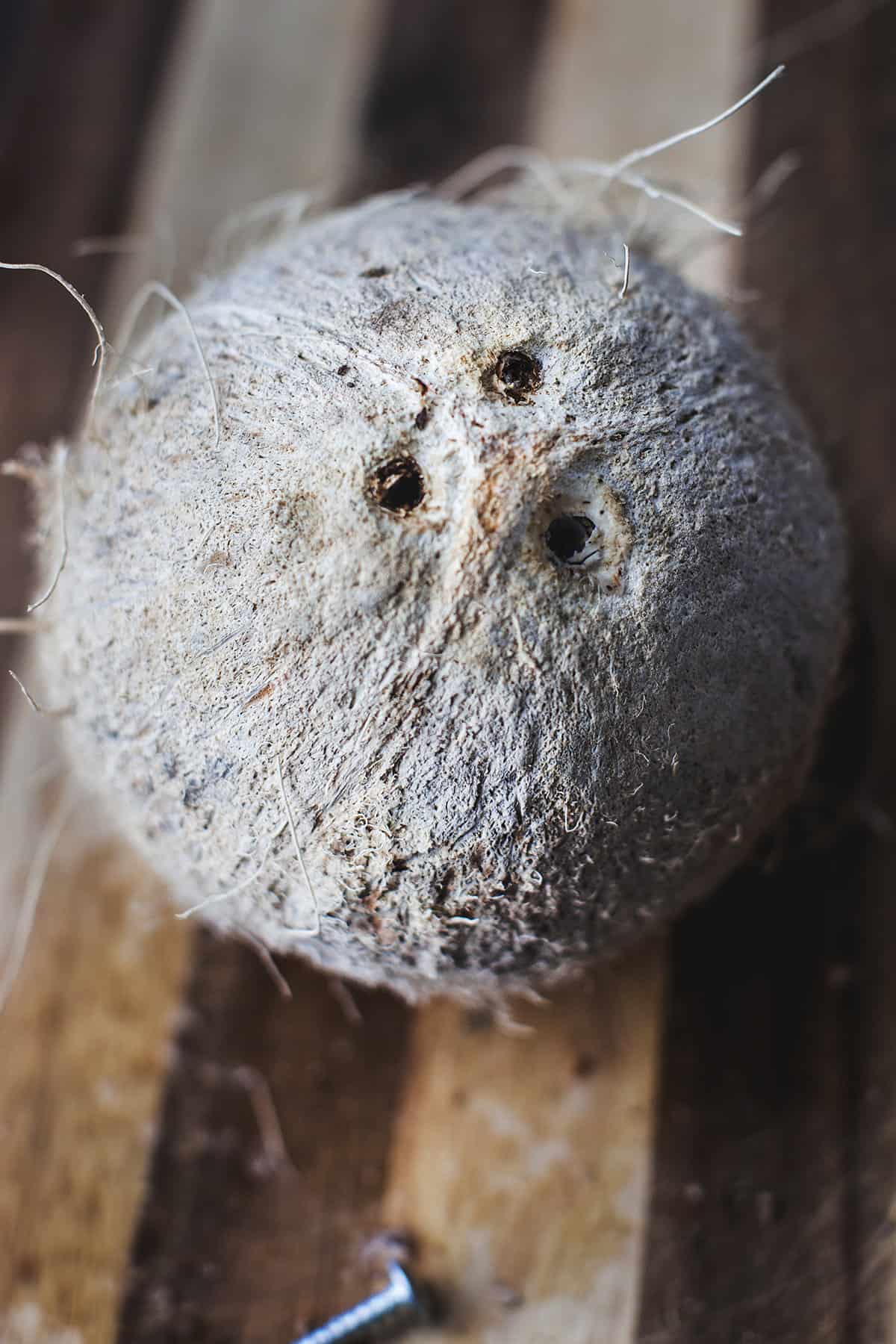 How to Open a Coconut in 4 Easy Ways! - Simply Suwanee