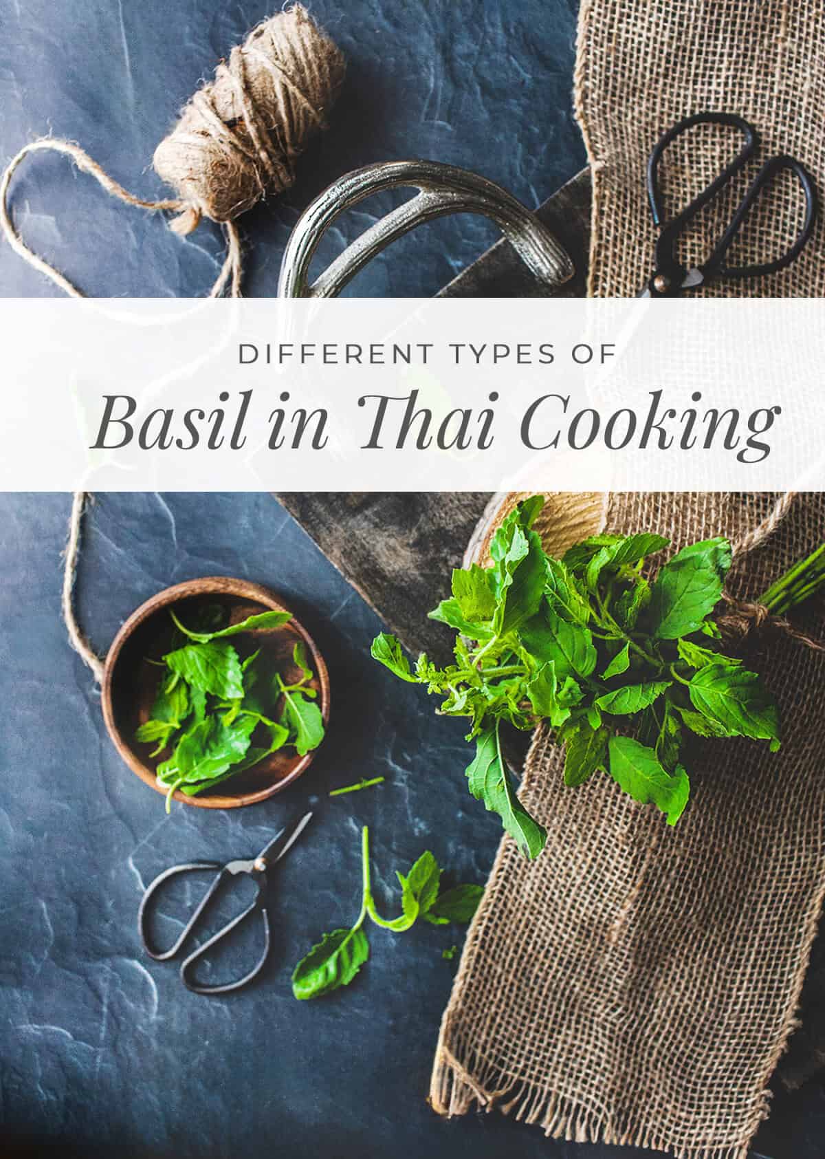 Different Types of Thai Basil and Their Uses - Simply Suwanee