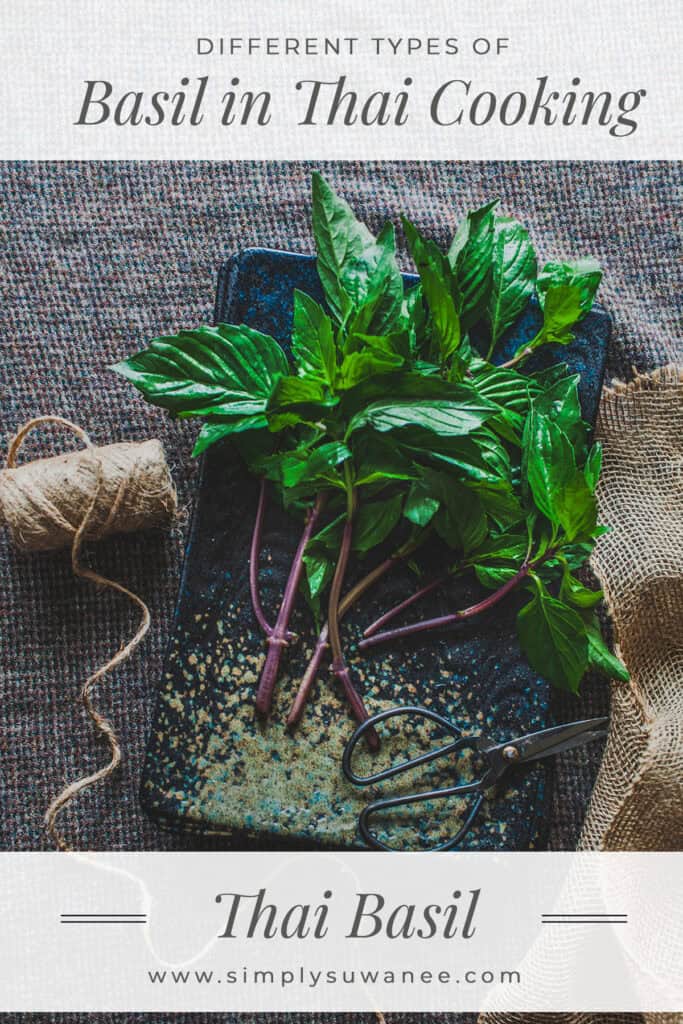 Different Types of Thai Basil and Their Uses - Simply Suwanee